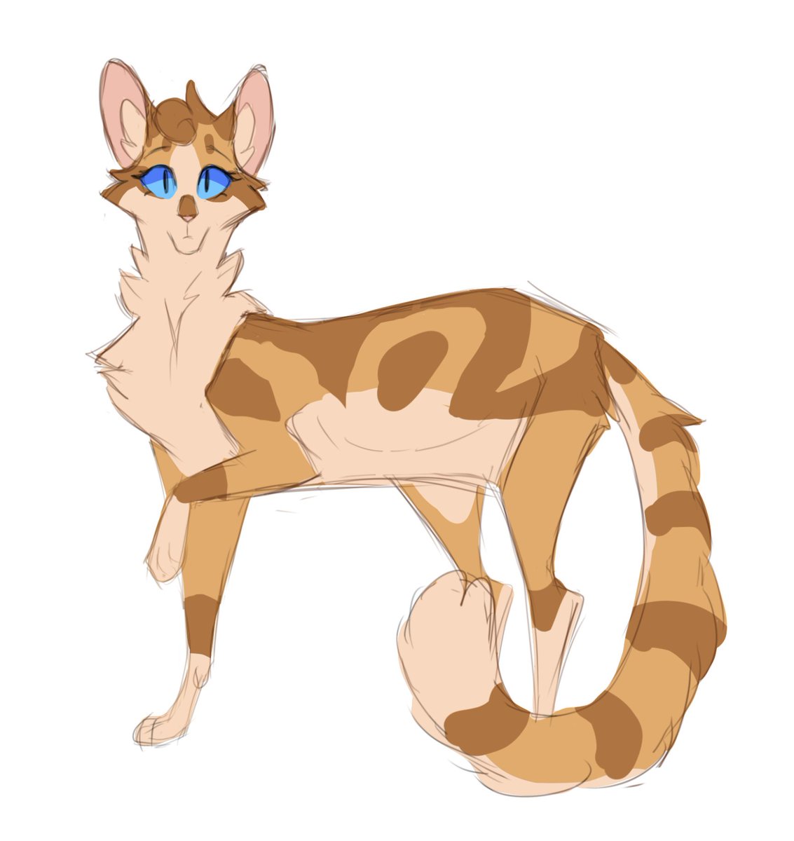 Warrior Cats Poppyfrost