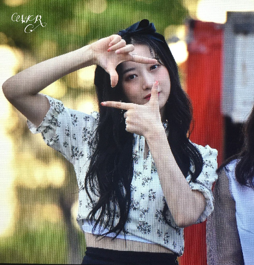 WinterRose (@WinterRose_97) | Twitter