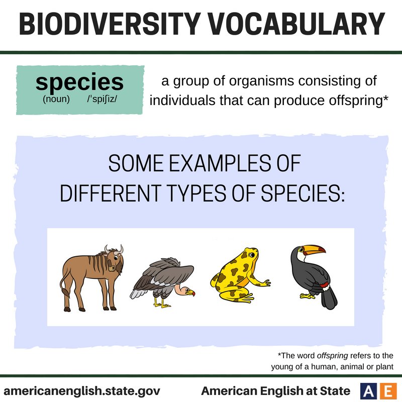 Plant Organism Examples