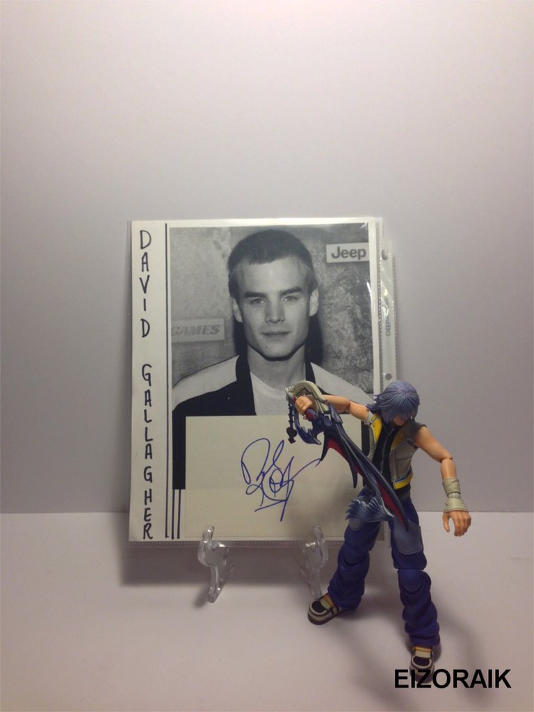 David Gallagher Riku