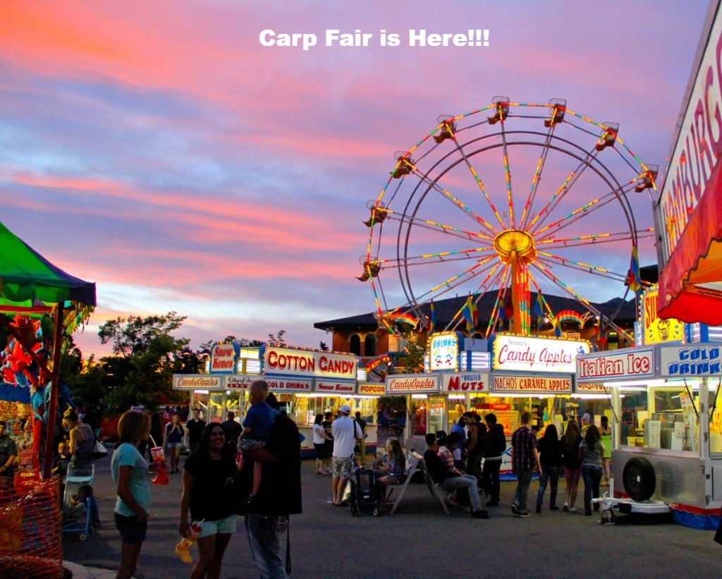 Are Dogs Allowed At The Carp Fair