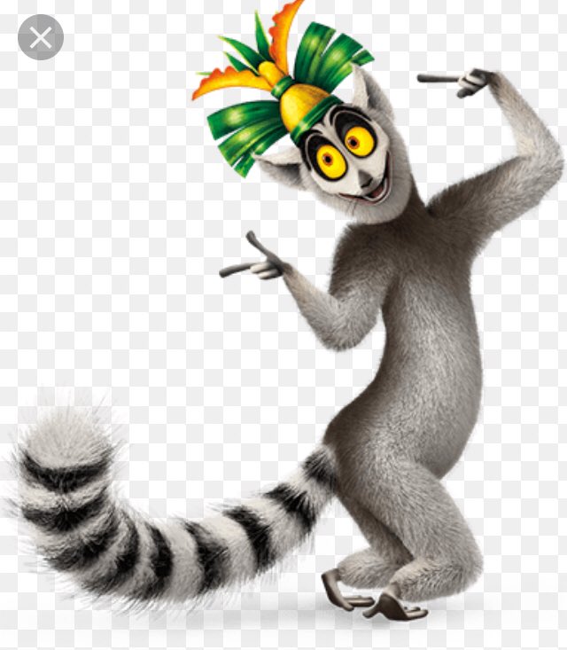 Madagascar Movie Lemur