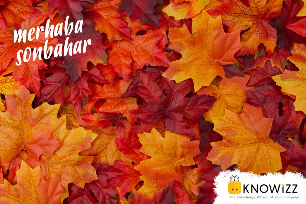 Merhaba Ekim Resimleri