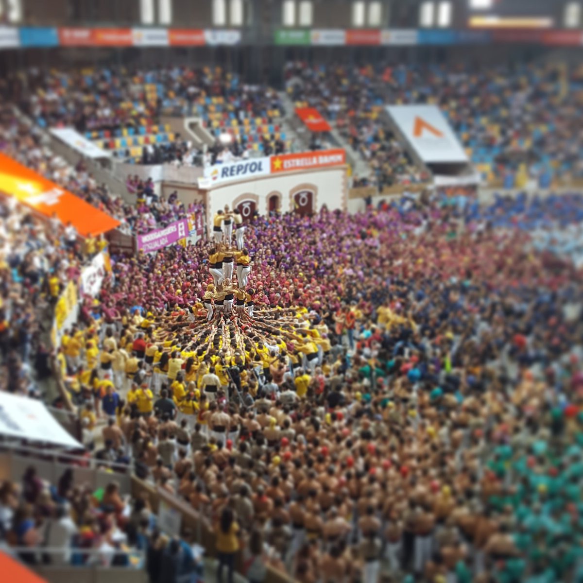 Lottie Gross (@lottiecgross) | Twitter