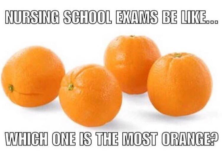 Nursing Exam Meme