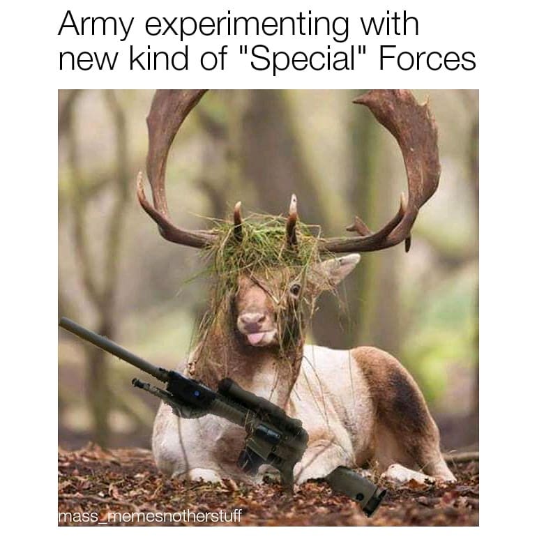 Special Forces Funny