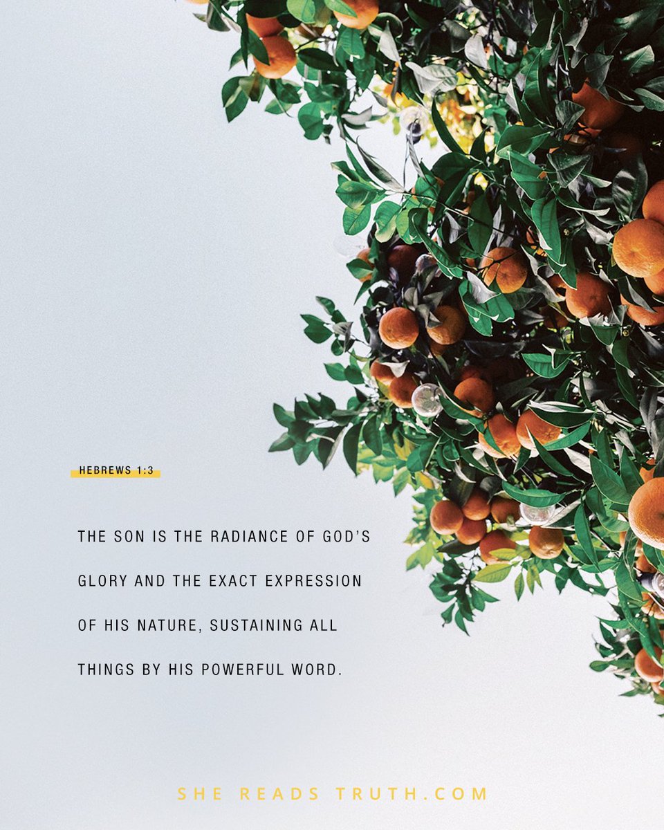 She Reads Truth Lock Screen