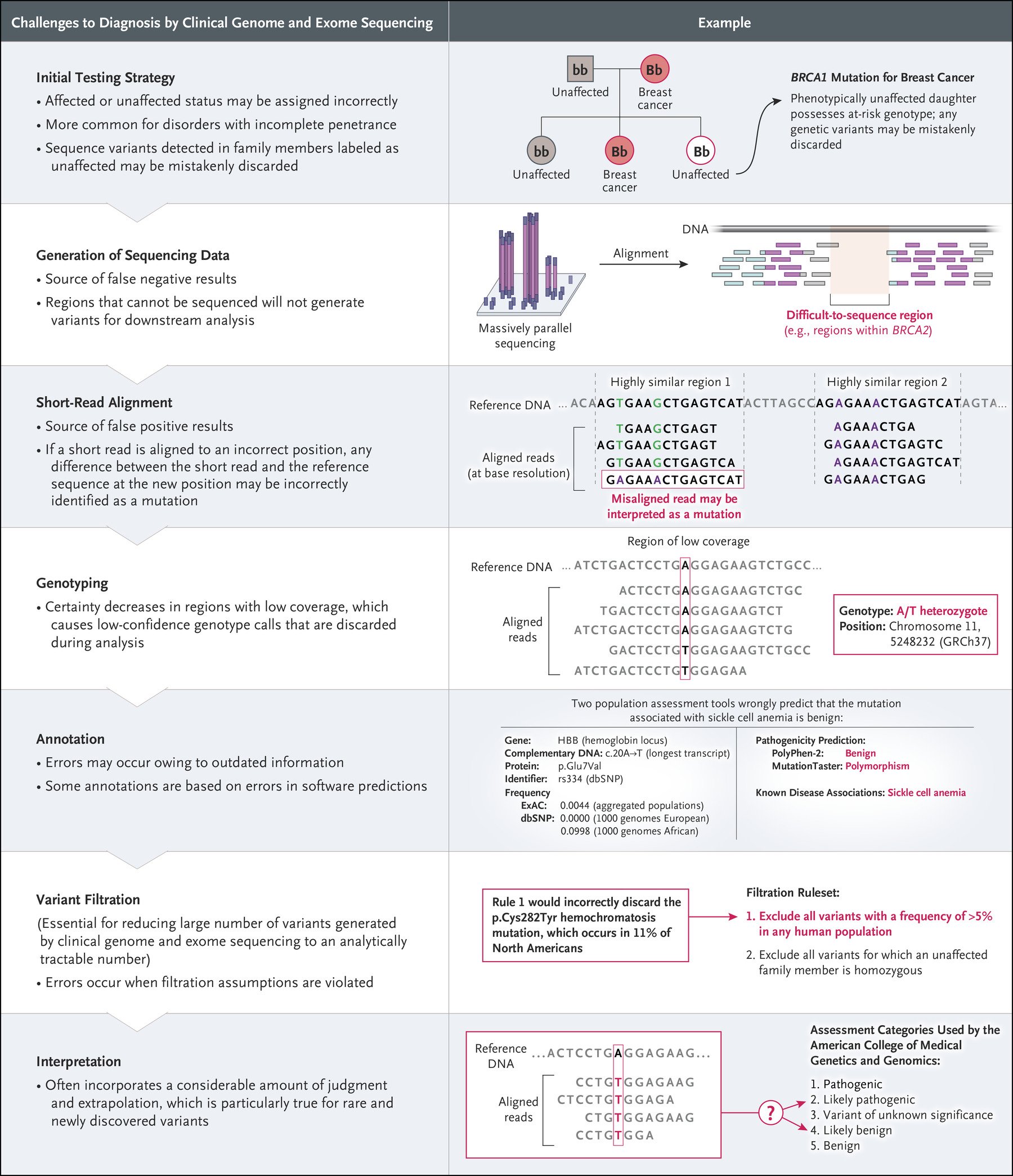 Next Generation Sequencing Workflow