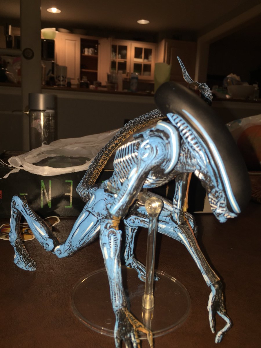 𝐔𝐋𝐓𝐈𝐌𝐀𝐓𝐄 𝐁𝐀𝐁𝐘 (@shinyangel94) | Twitter