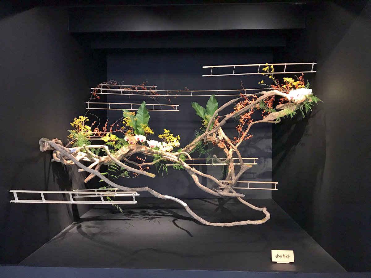 まみもこ (@mami_moco) | Twitter