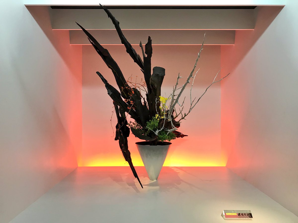 まみもこ (@mami_moco) | Twitter