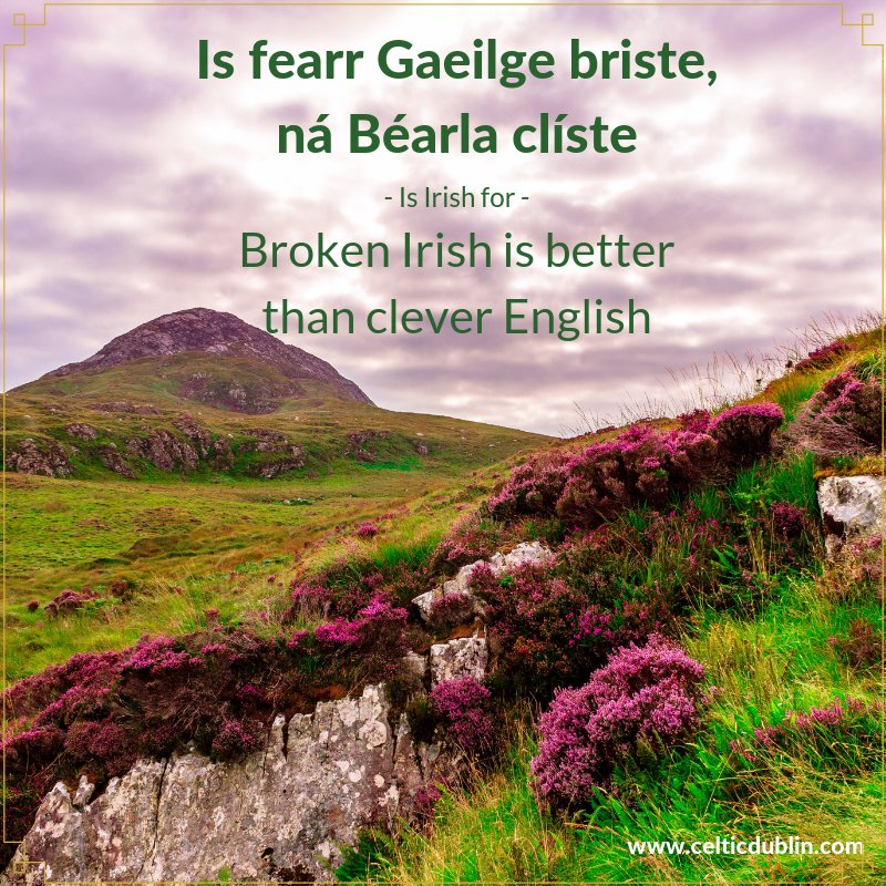 Is fearr Gaeilge briste ná Béarla cliste – Sarah Doyle's Blog