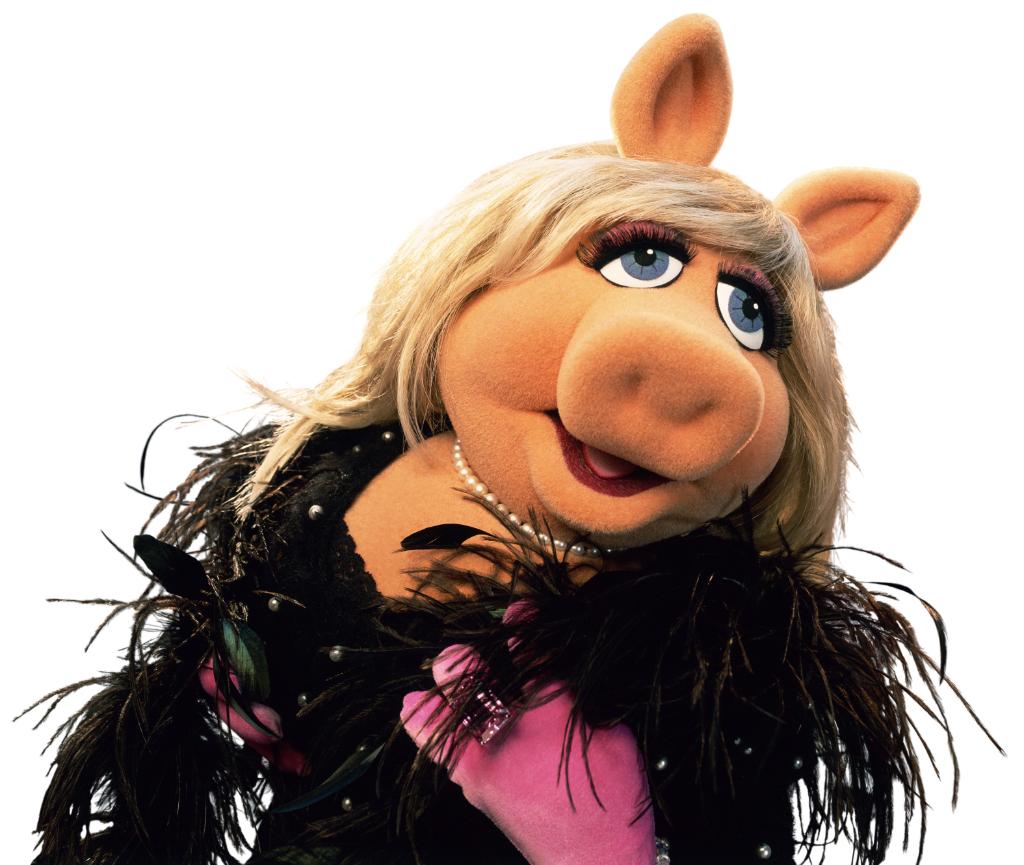 Miss Piggy Face