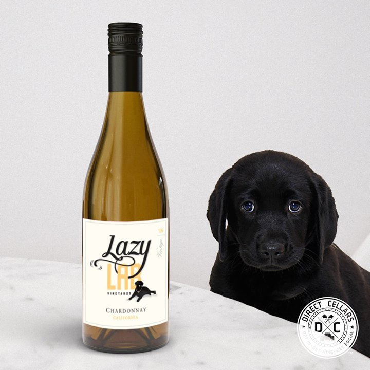 Direct Cellars (@directcellars) | Twitter