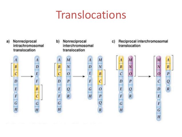 Nonreciprocal Translocation