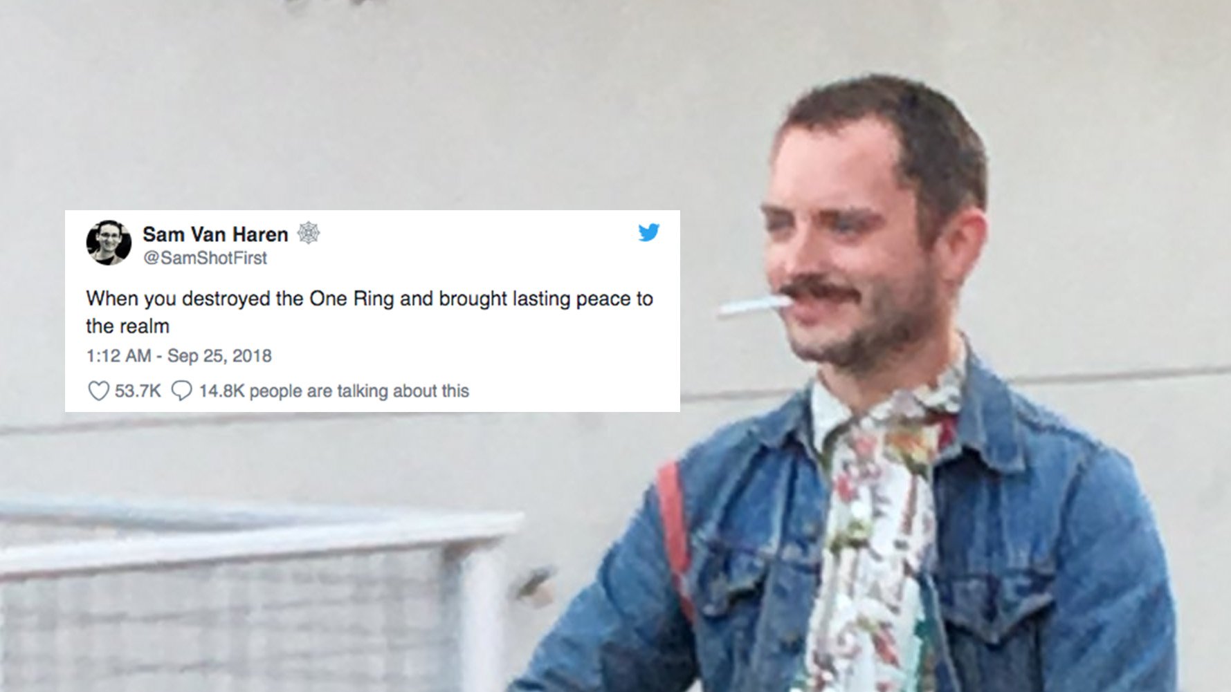 Elijah Wood Face Meme