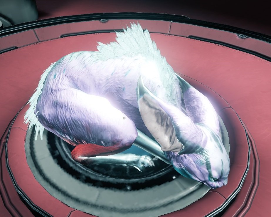 「got a questionable warframe cat 」|🌻 Hiro 🌻のイラスト