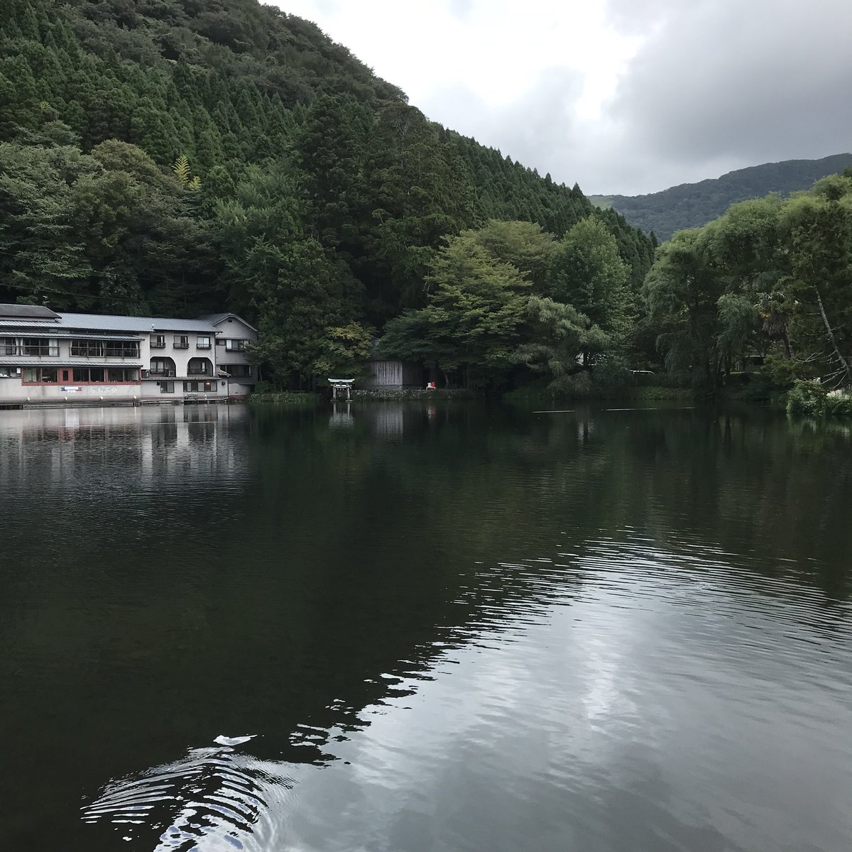 金鱗湖 | 日本最大級のSNS映え観光情報 スナップレイス