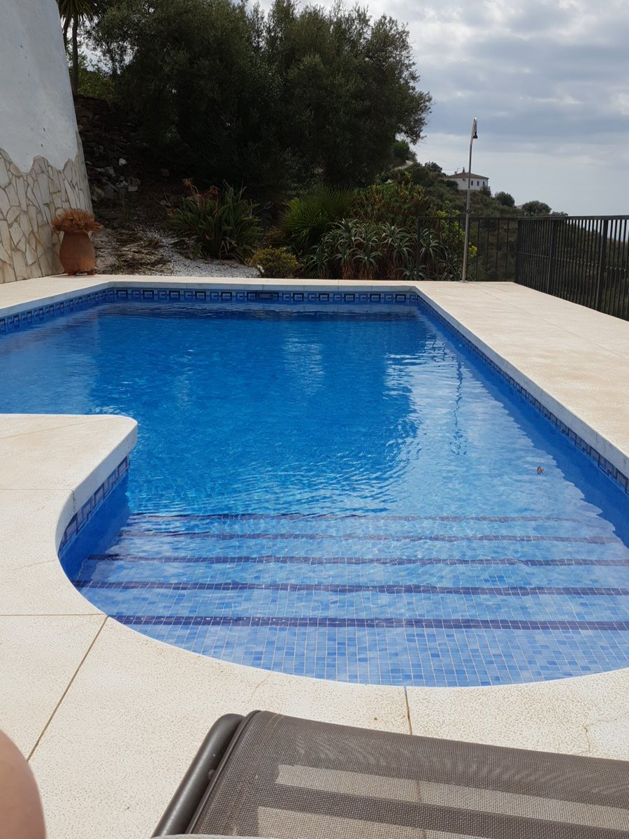 Jason Hodges Dog Dannii at Samantha Sternberg blog