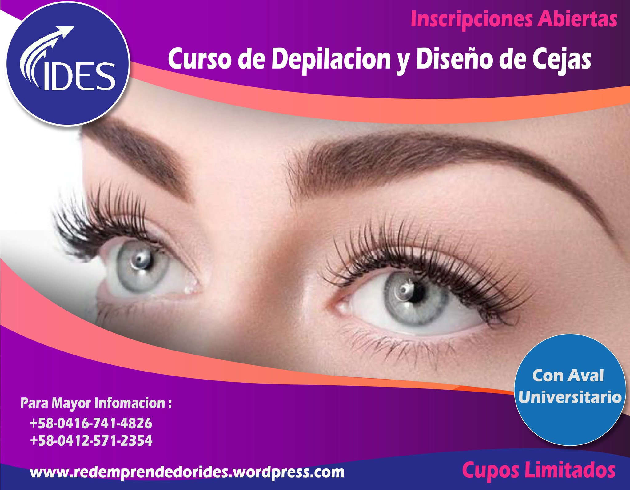 Instituto IDES on Twitter: "Por medio de esta técnica intensiva podrás incorporarte en el mundo ...