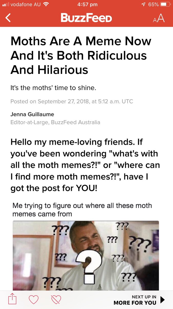 anna (@opticaldystopia) | Twitter