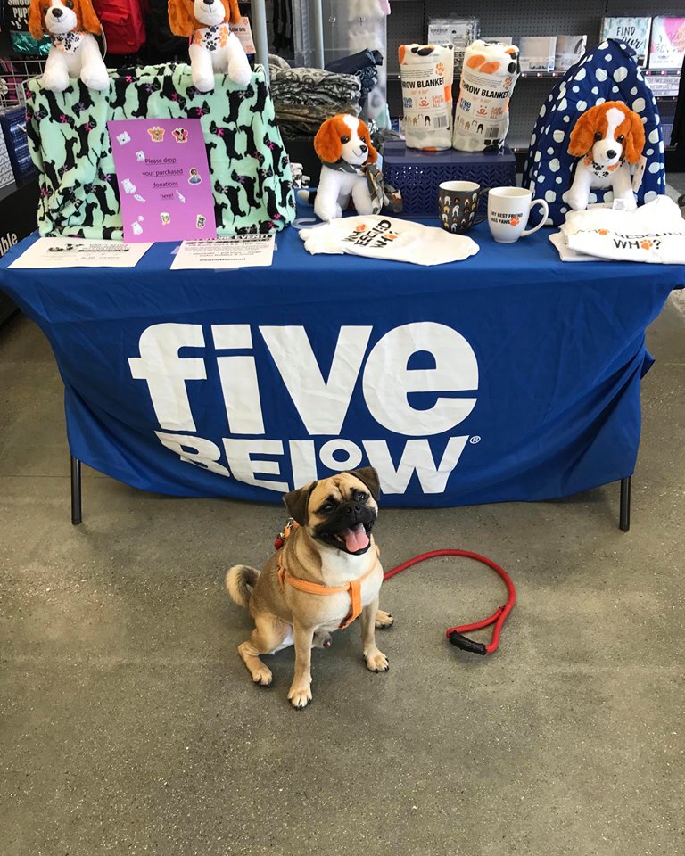 Are Dogs Allowed In Five Below