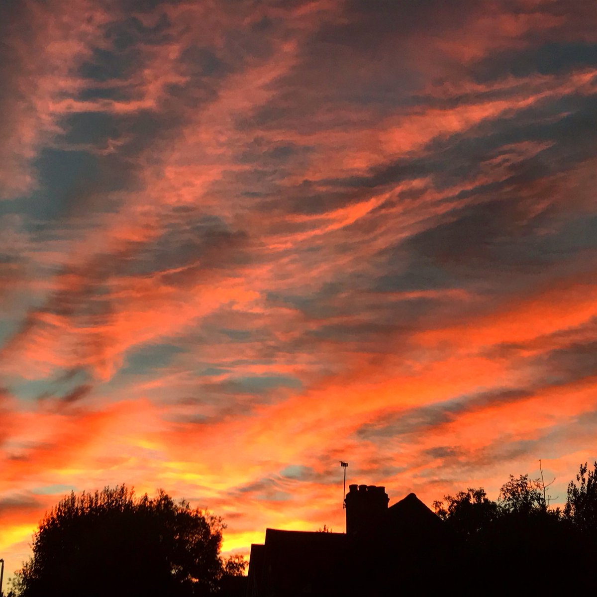 Another glorious evening sky in south-west London. Can never get enough ...