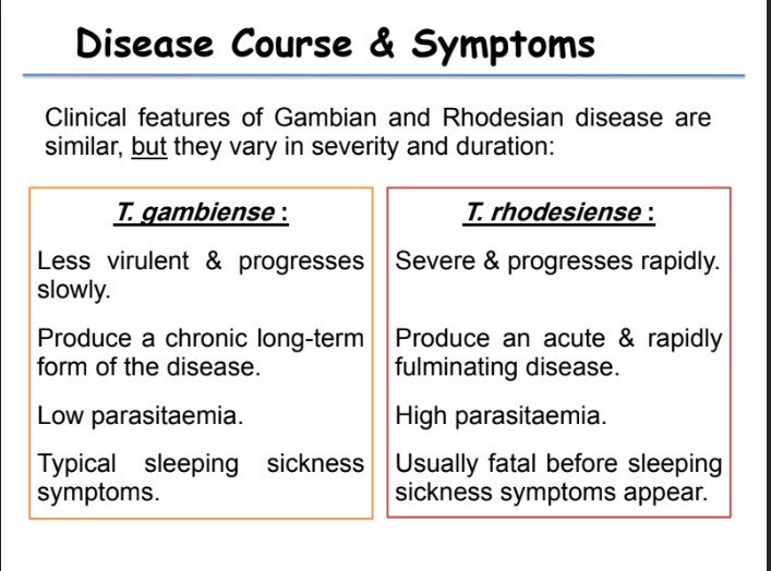 ملخص Parasitology - Thread from غيداء طلال بصفر🇸🇦 @ghayda_basfar - Rattibha