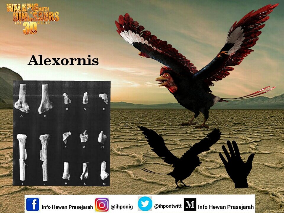 Walking With Dinosaurs Alexornis