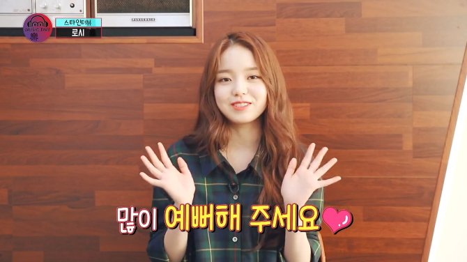 로시(Rothy) official (@Rothy_official) | Twitter