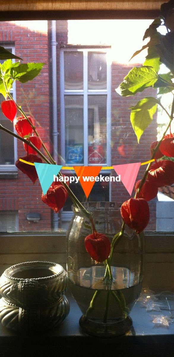 Anke de Boer (@ankedeboer) | Twitter