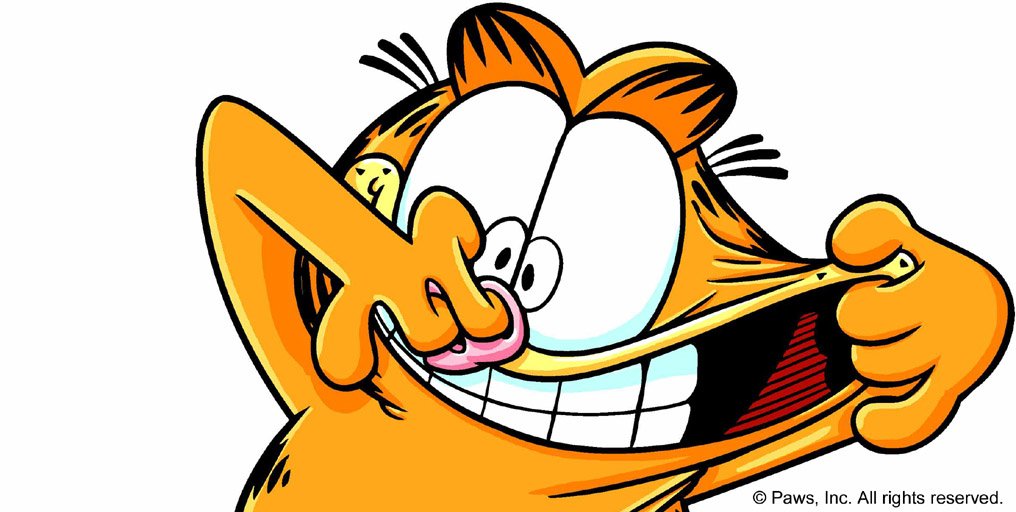 Garfield Face Smile