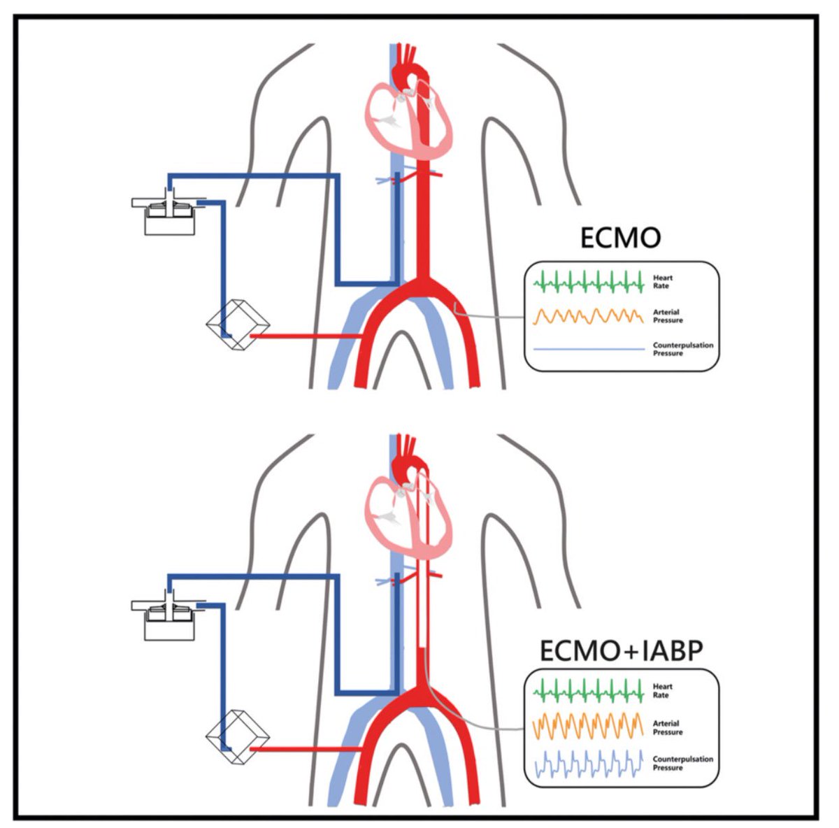 Nick Johnson (@NickJohnsonMD) | Twitter