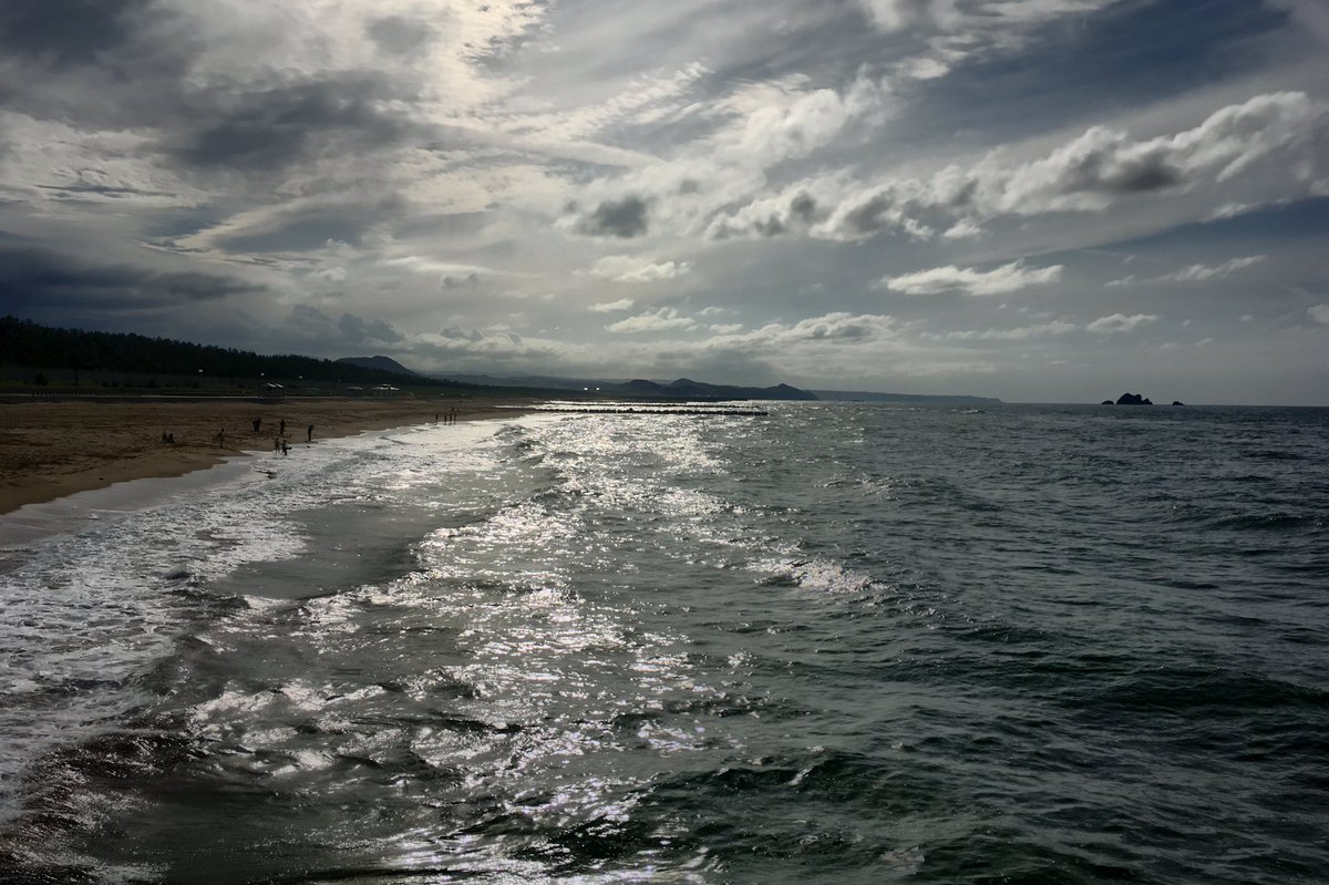 しなもん＠vtuberごっこはじめました！ (@sinamon_vt) | Twitter