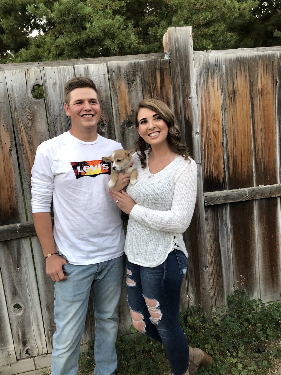 dana vice (@_danasaur_) | Twitter