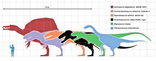 Carnivorous Dinosaurs Size Chart