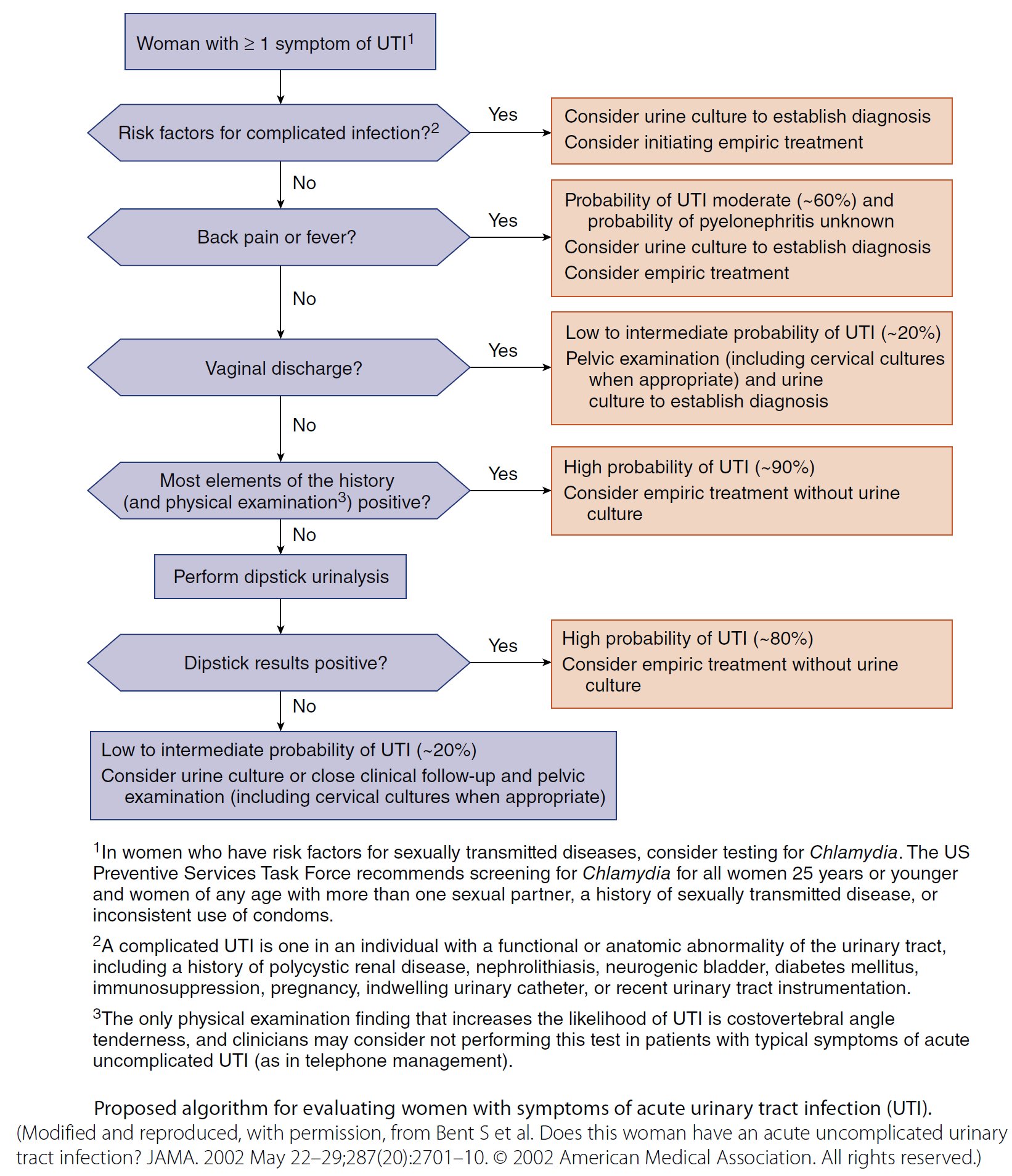 Urinary Tract Infection Pathophysiology Diagram