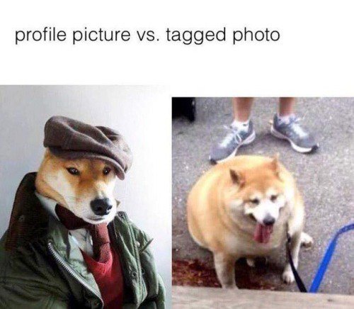 Shibe Meme Ruf Der Pflicht Waiting For Louise Präsentiert: Michaels