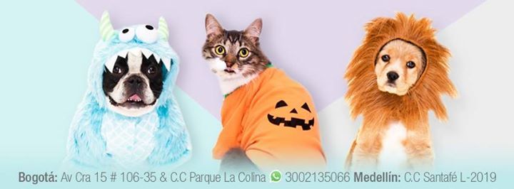 Sandra Gómez Bedoya (@sandrix_gomez) | Twitter