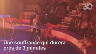 Kaiser Marc 🇩🇪 (@marc_duquesnoy) | Twitter