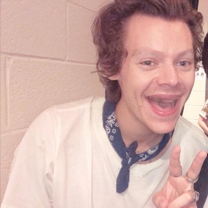 Harry Styles No Eyebrows