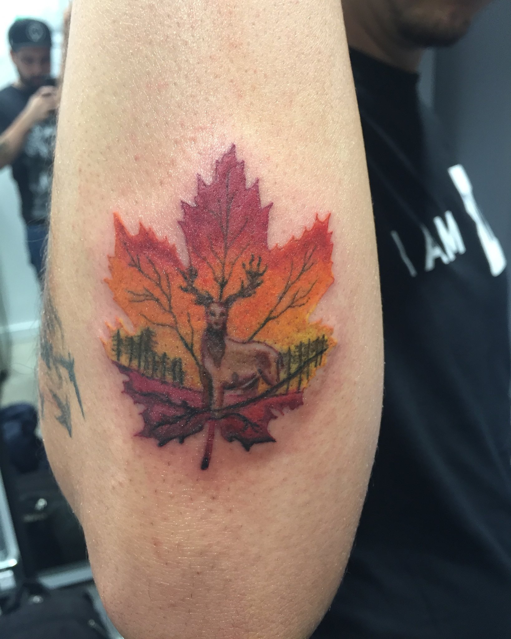 Maple Leaf Tattoo Designs
