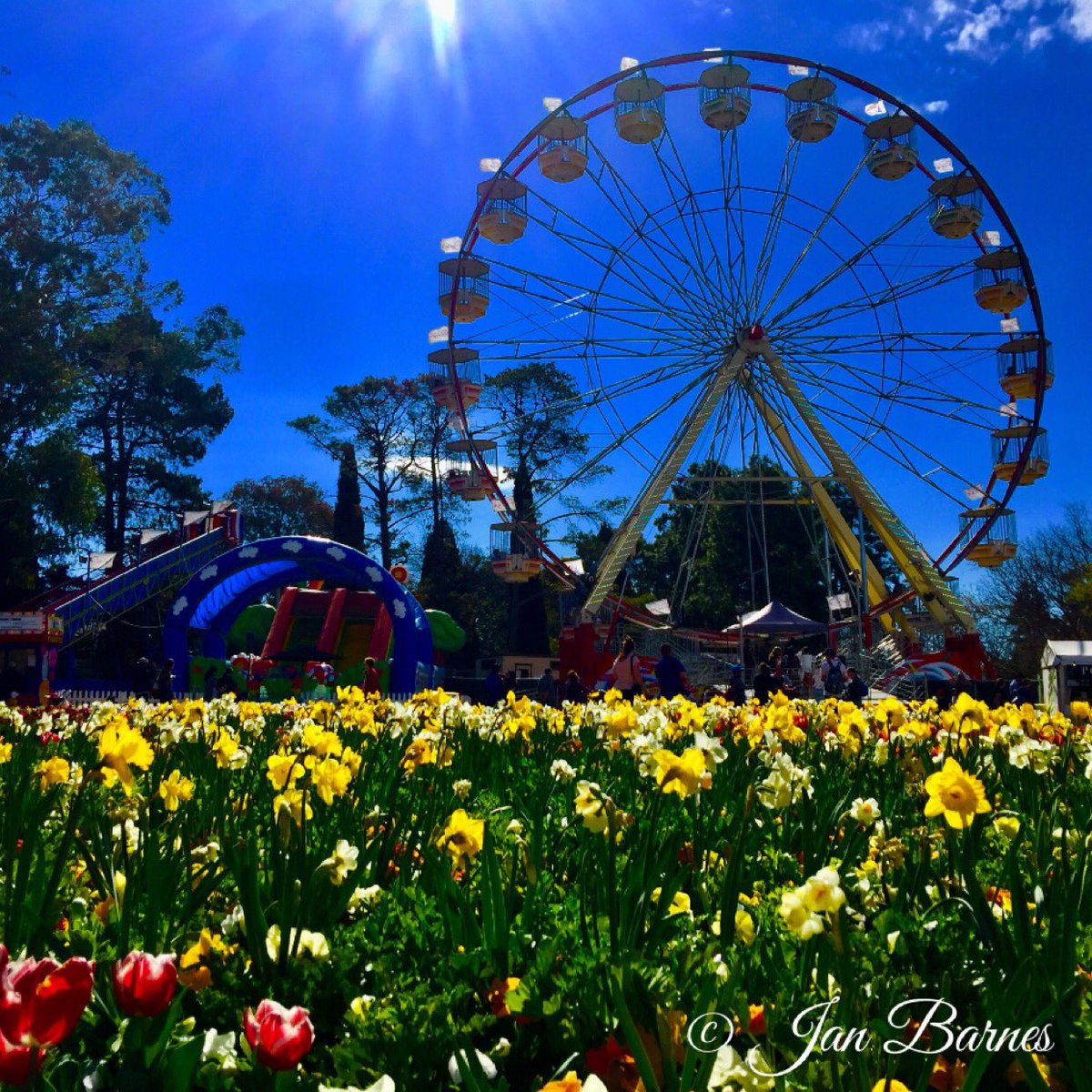 Shocking Photos Of Jan Barnes Photos | Loexta