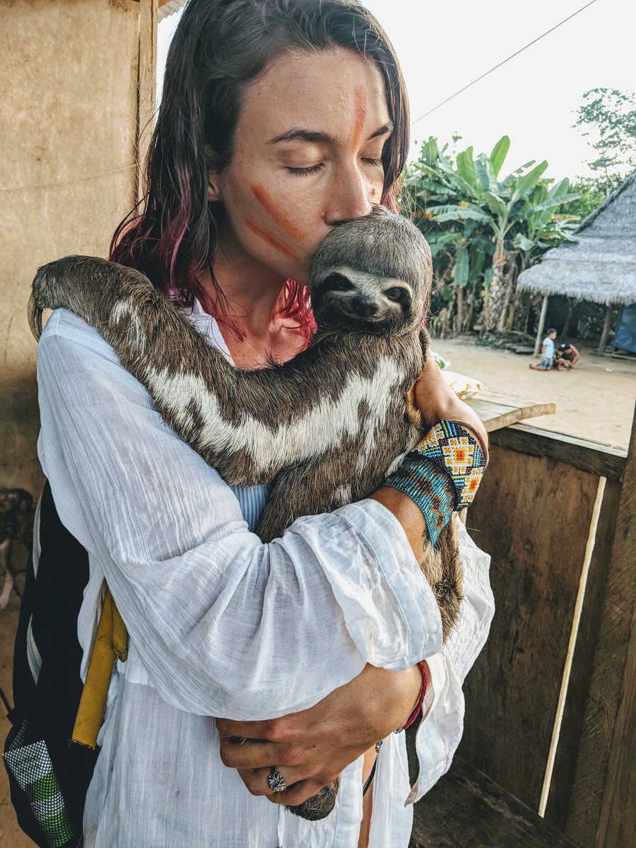 Sloths Hugging People