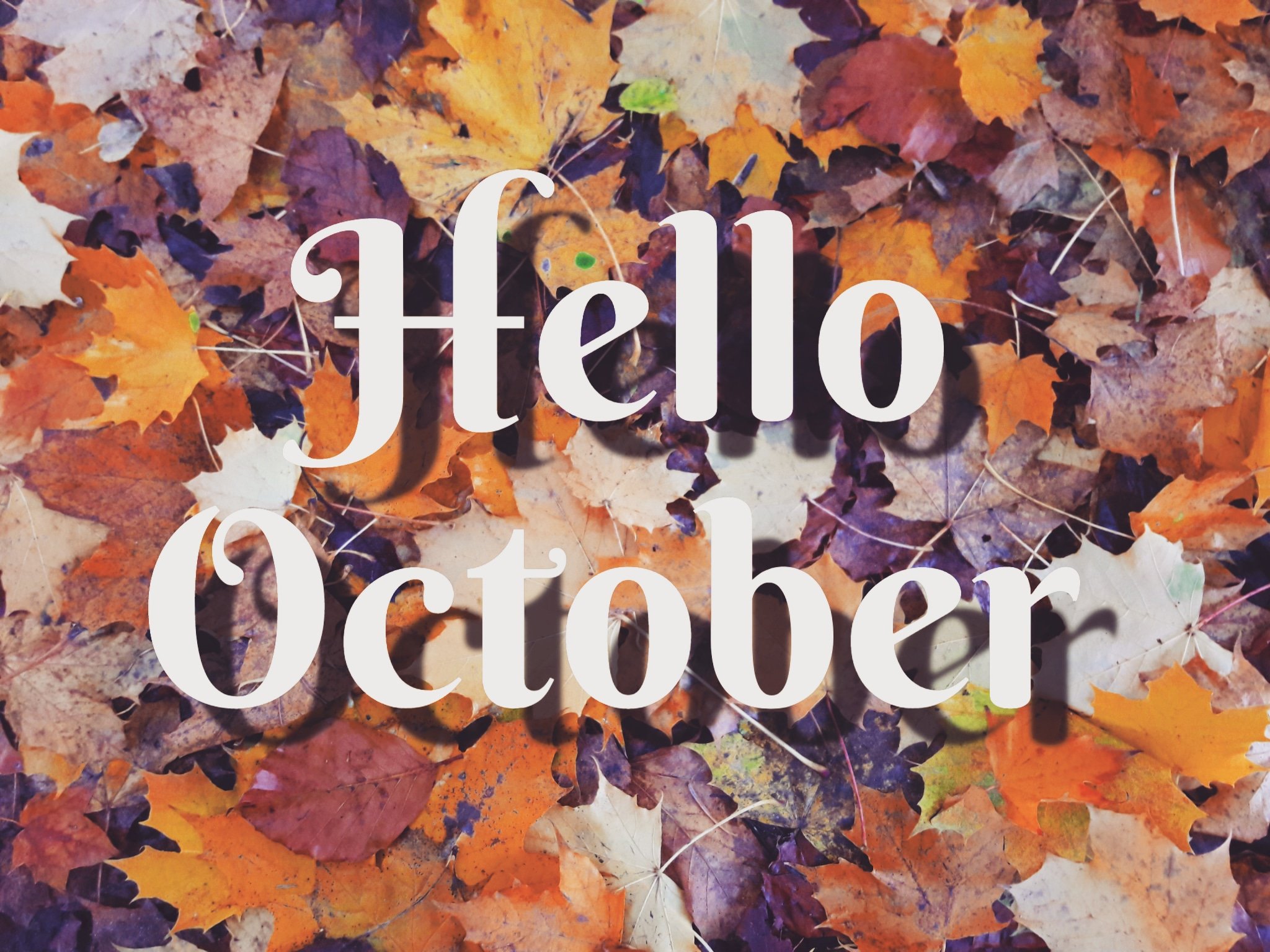 Tilly Rose Textile Artist Photos | serenedominic.com