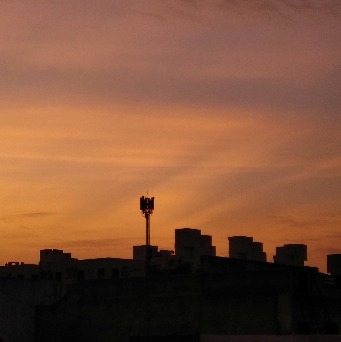 Devang (@Devang8998) | Twitter