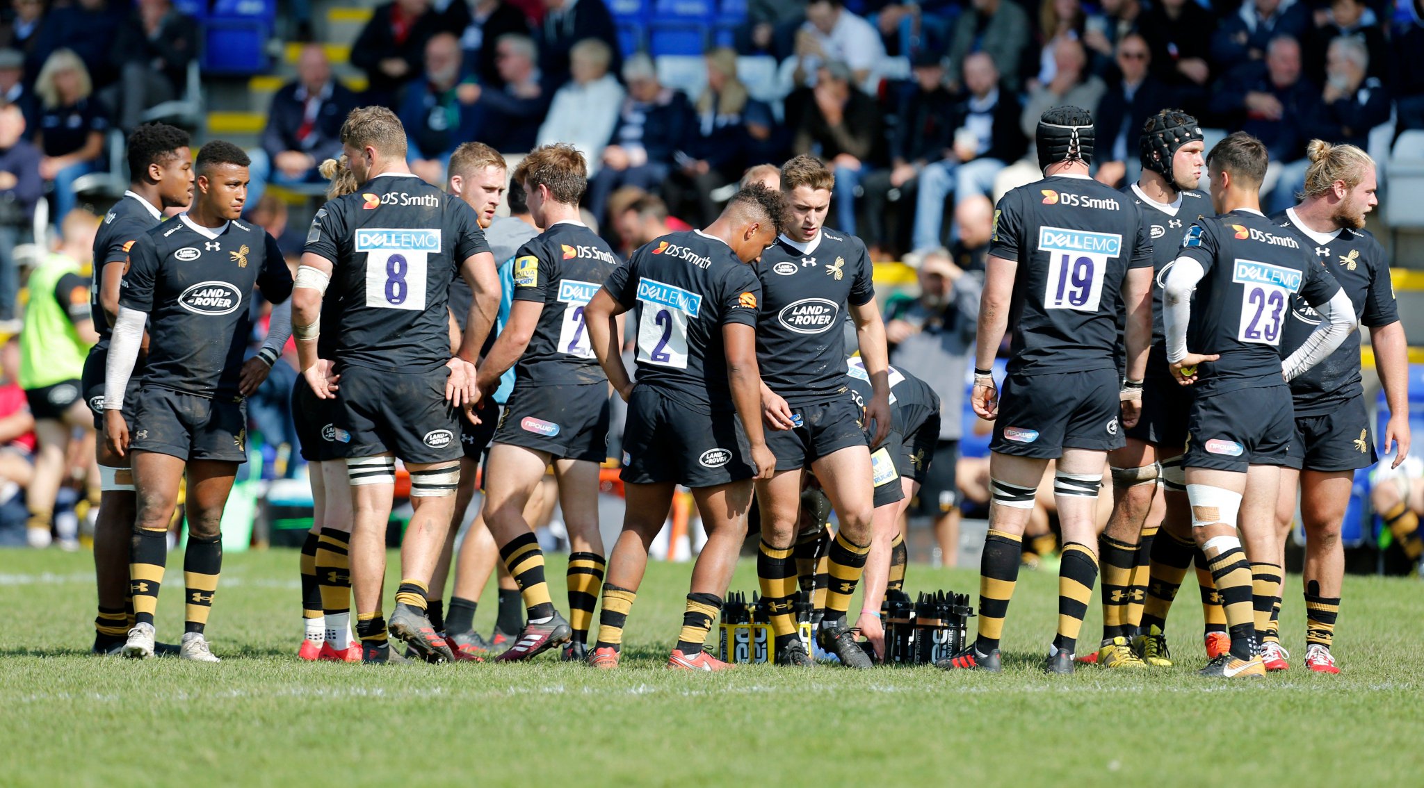 Wasps Rugby