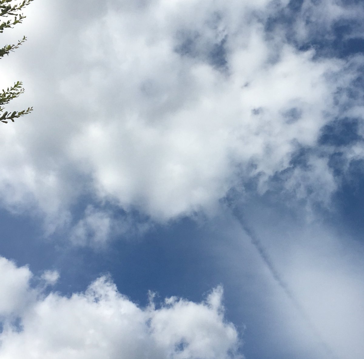 Media Tweets by Daniel Osgood (@Daniel_Osgood_) | Twitter