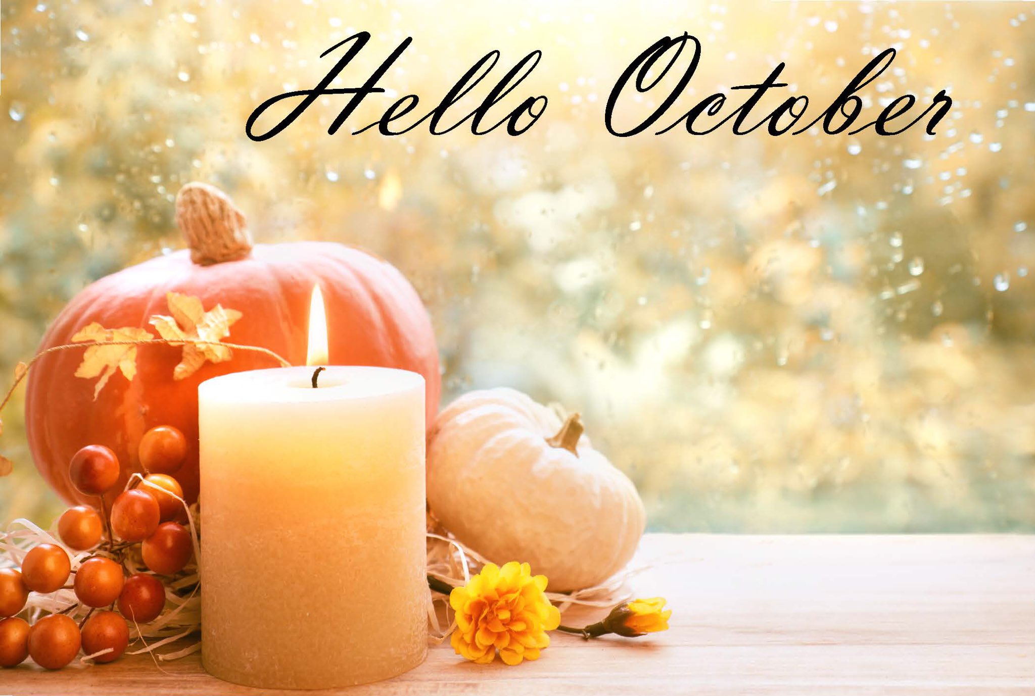 Hello October Pumpkins