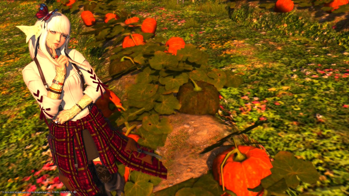 Celeste Asteria (@celasteria) | Twitter